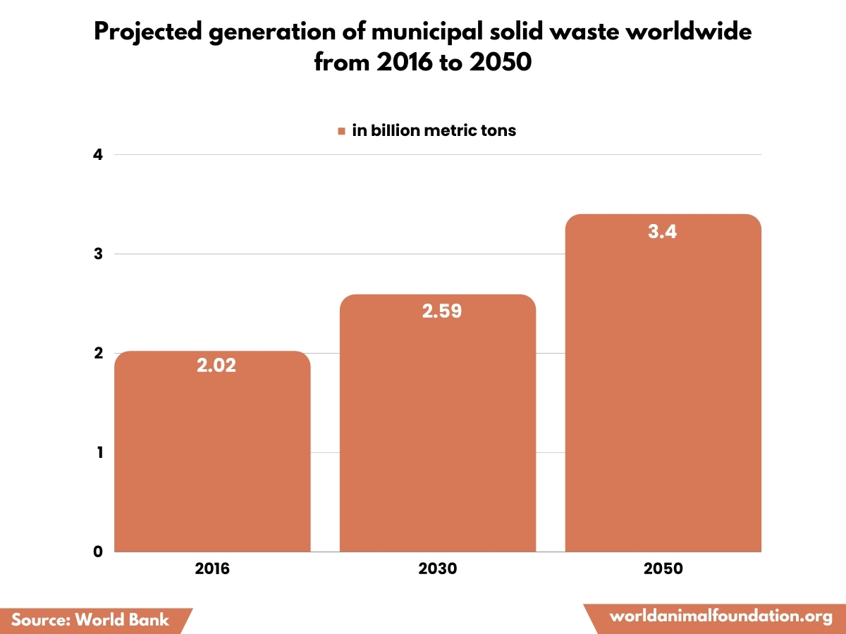 Unveiling Startling Trash Facts - Creating A Better Tomorrow