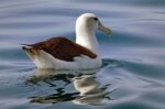Facts About Plastic Pollution: Facts And Figures That Matter