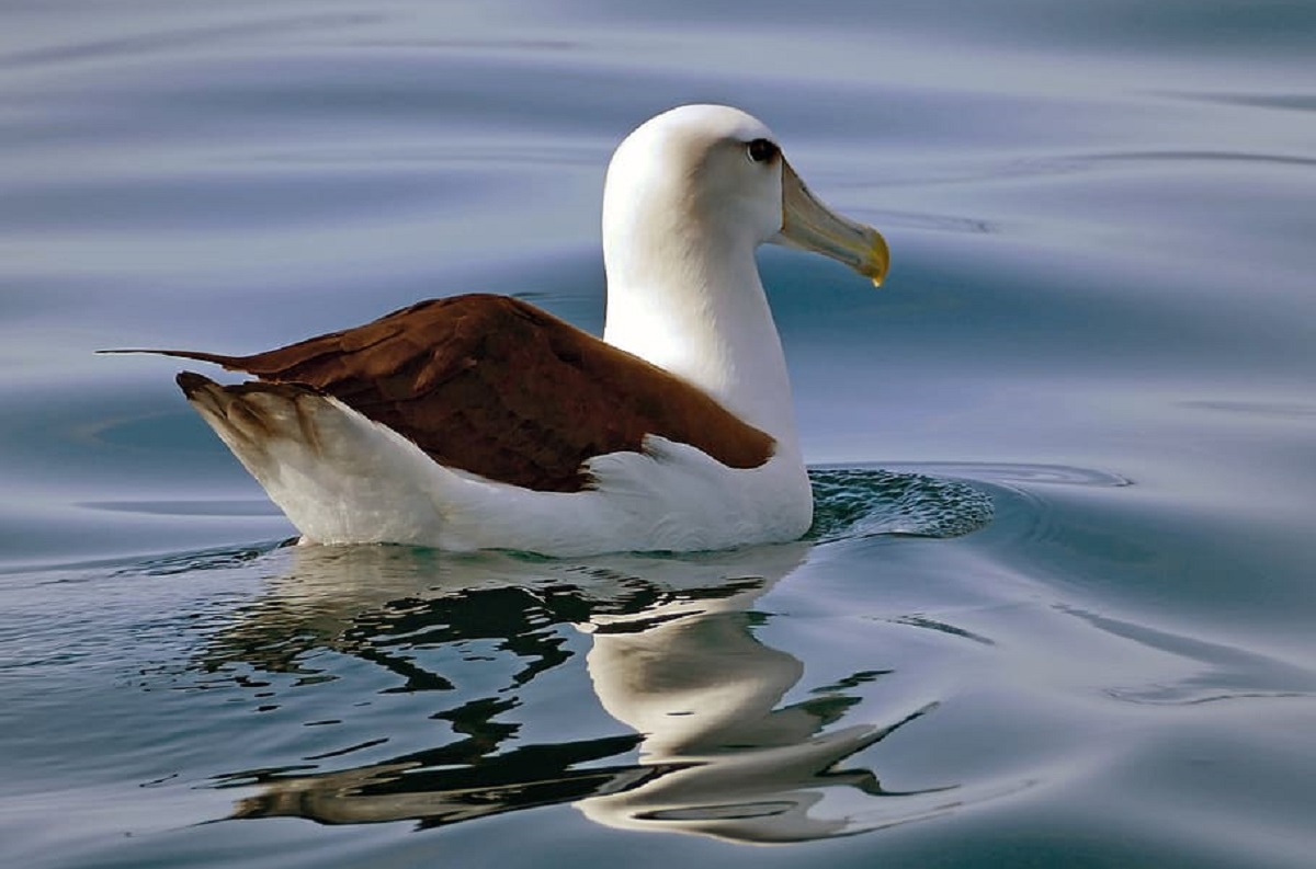 Facts About Plastic Pollution: Facts And Figures That Matter