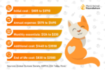 How Much Does A Cat Cost? Guide To Cat's Overall Expenses