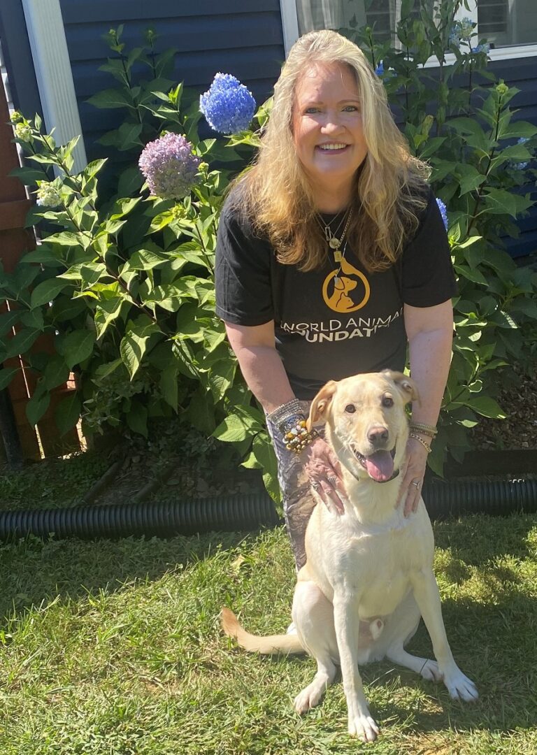 About Us - World Animal Foundation