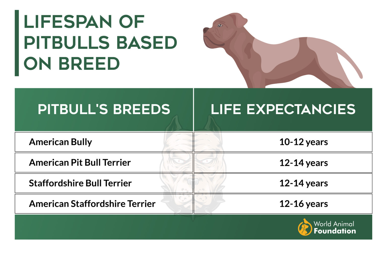 Pit Bull Lifespan: How Long Do Pit Bulls Live?