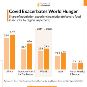 World Hunger Statistics - All You Need To Know!