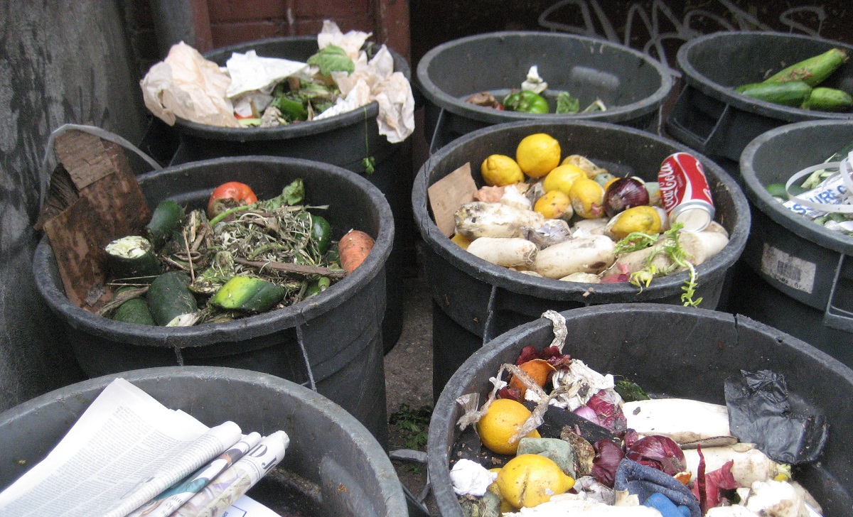 Food Waste Facts - How Your Plate Impacts The World Hunger?