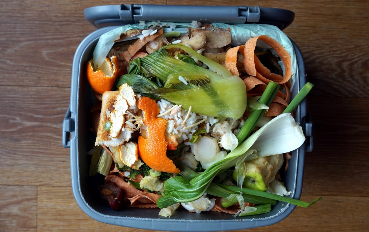 Food Waste Facts - How Your Plate Impacts The World Hunger?