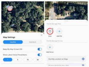 6 Best Invisible Dog Fences [Tested In April 2025]