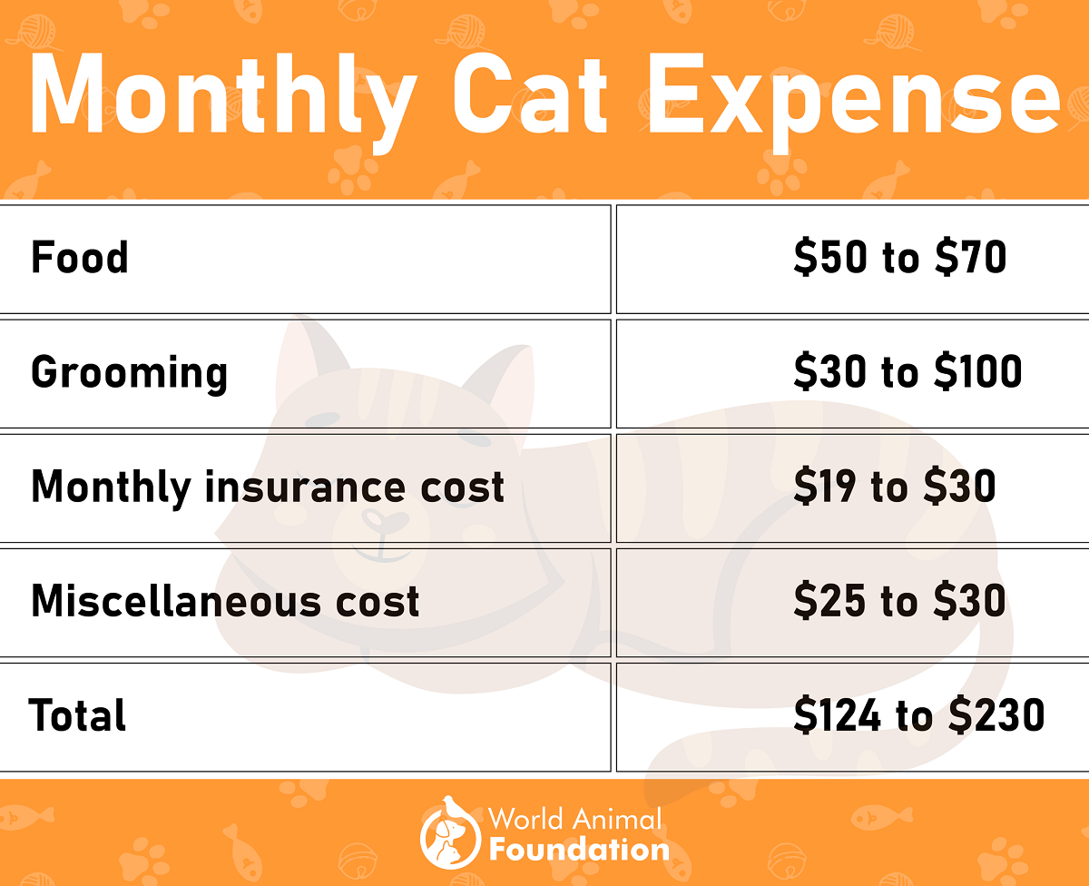 How Much Per Year Does It Cost To Own A Cat At Jaime Cardenas Blog