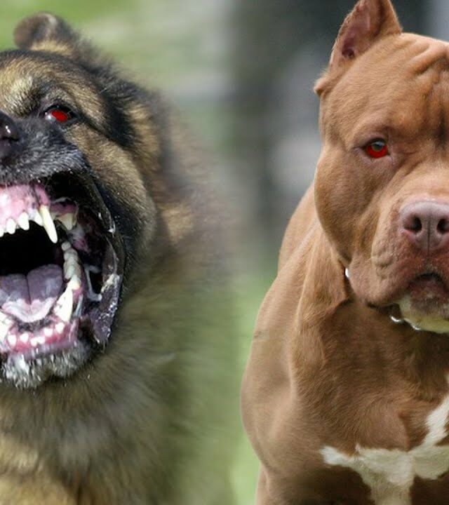 Unveiling Startling Trash Facts - Creating A Better Tomorrow