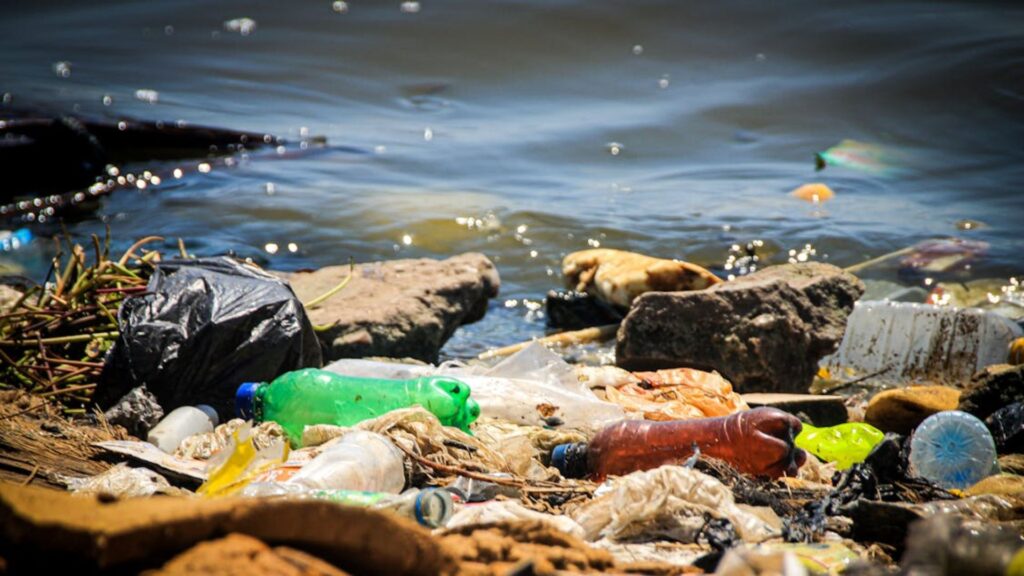 What Lies Beneath: Startling Ocean Pollution Facts Revealed