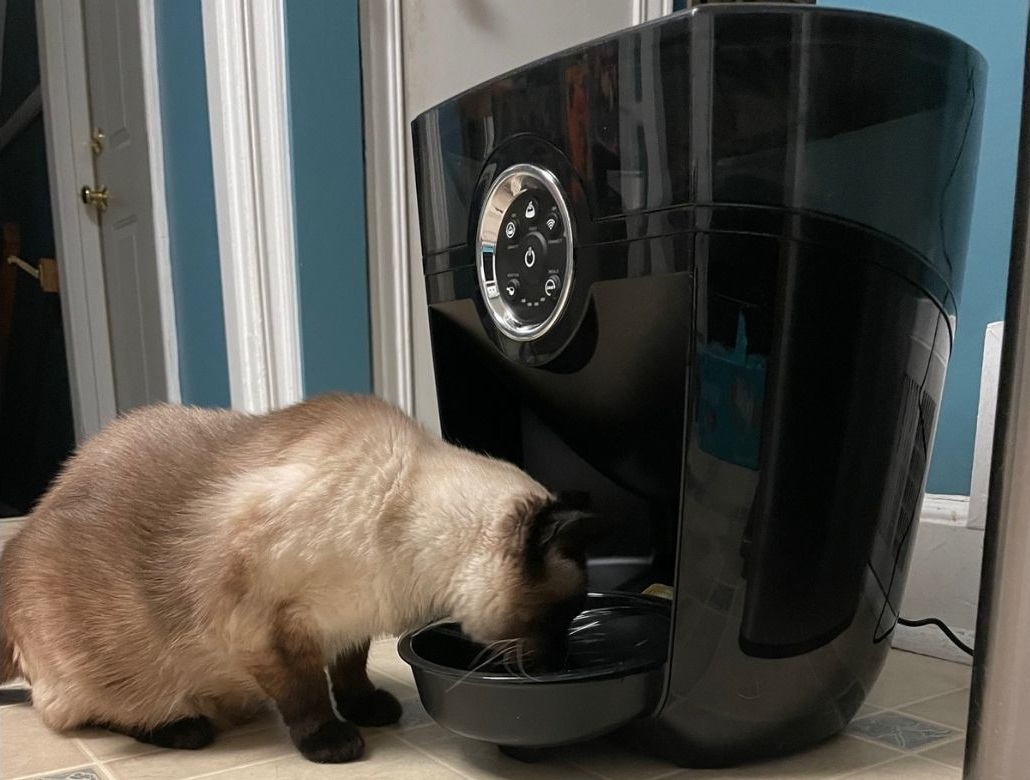 Feeder Robot Review: A Must-Have Or Miss? Our Exclusive Take