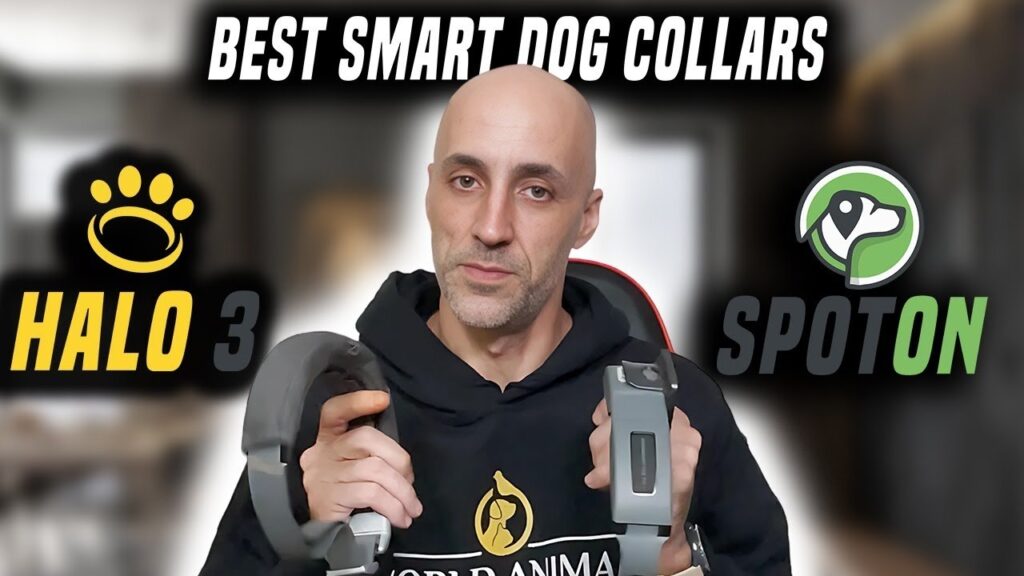 7 Best Smart Dog Collars [Remarkably Latest Tech]
