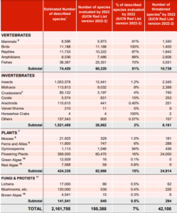The Big Wildlife Census: How Many Animals Are In The World?