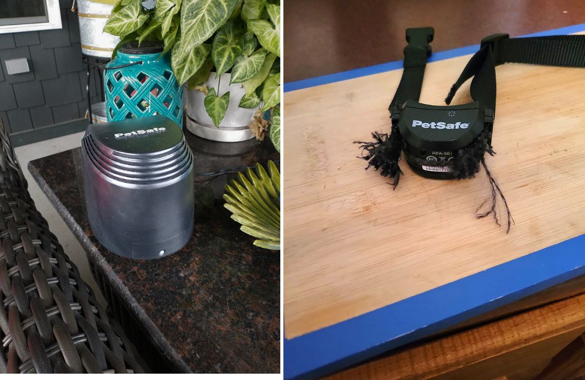 5 Best Invisible Dog Fences Of 2024 - Tested And Reviewed