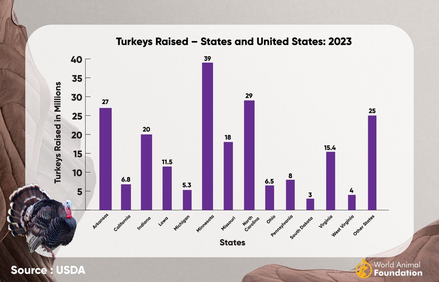 Startling Statistics: How Many Turkeys Are Killed Each Year?