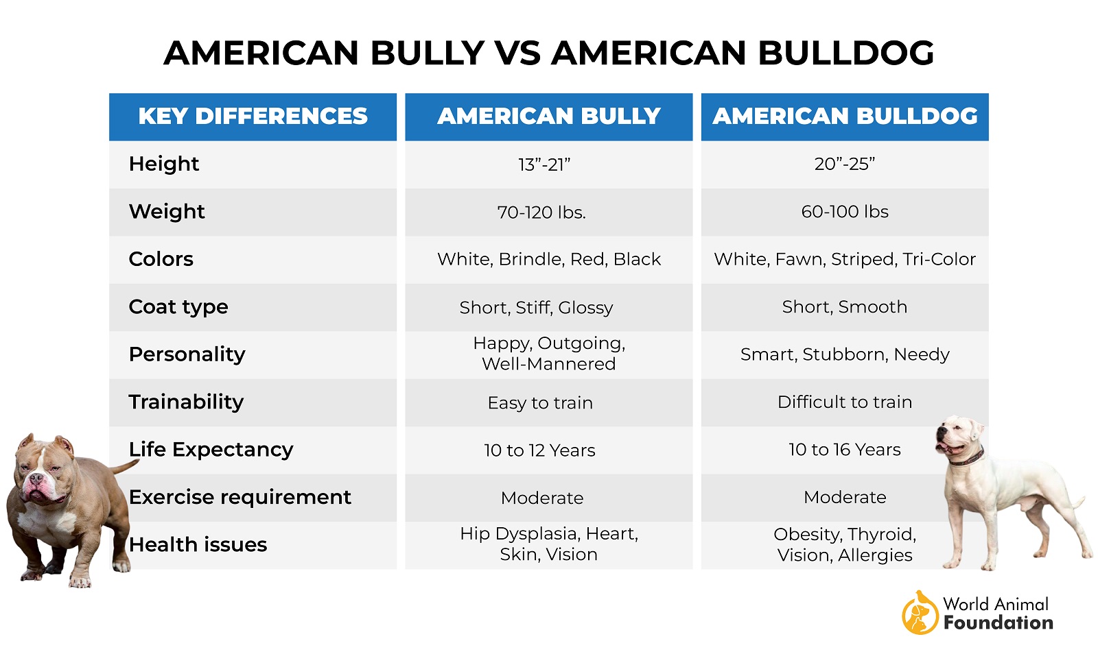 American Bully Vs American Bulldog: What's The Difference?