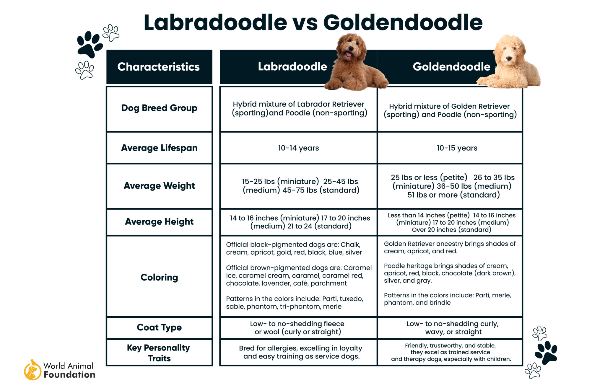 Labradoodle Vs Goldendoodle: Unraveling The Doodle Debate