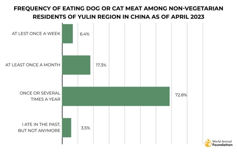 What Countries Eat Dogs & Cats For Dinner In 2024