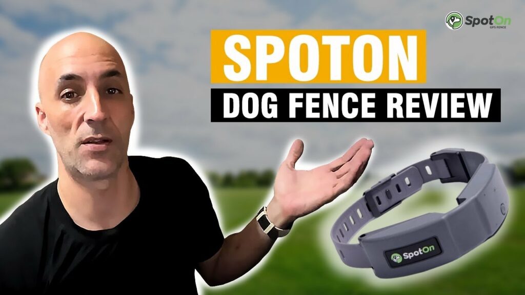 SpotOn GPS Dog Fence Review - Is It Worth $999 In 2024?