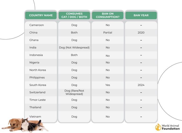 What Countries Eat Dogs & Cats For Dinner In 2024