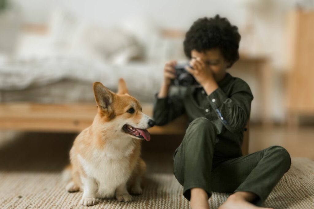 Are Corgis Good Family Dogs? Everything You Need To Know - Avesei.com