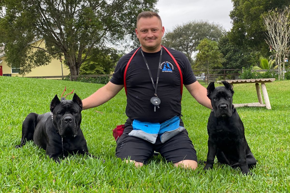 DIYK9 Course Review - [2024 Updated] Legit Or Just A Scam?