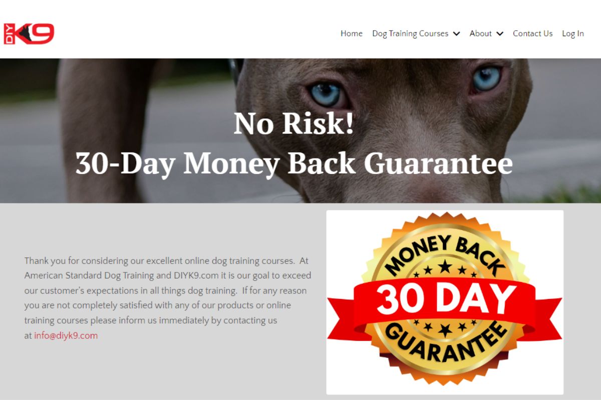 DIYK9 Training Course Review [2024 Updated] - Tededer.com