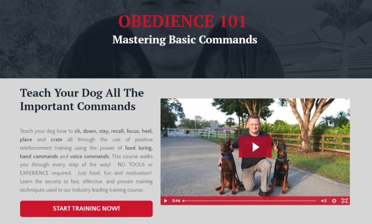 DIYK9 Course Review - [2024 Updated] Legit Or Just A Scam?