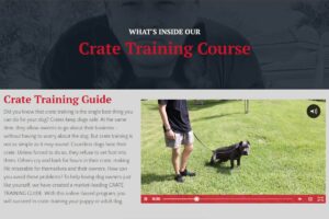 DIYK9 Course Review - [2024 Updated] Legit Or Just A Scam?