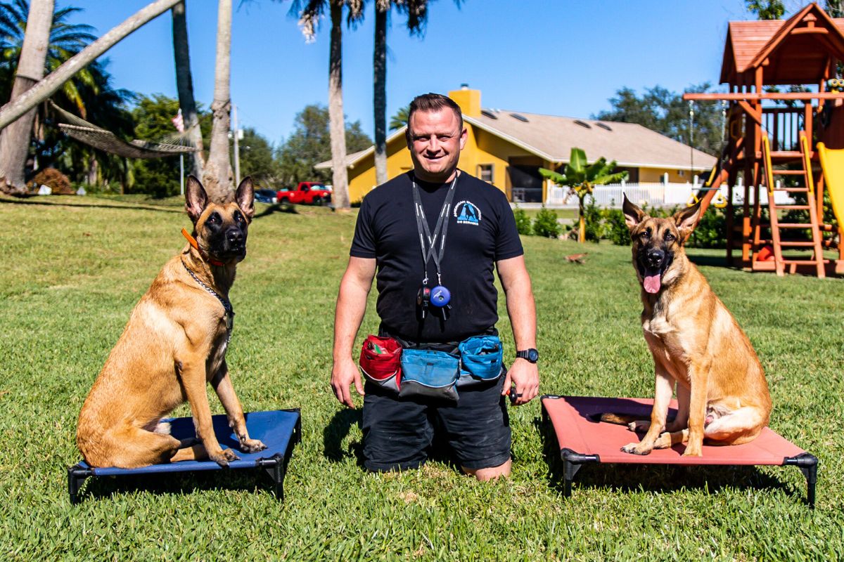 DIYK9 Course Review - [2024 Updated] Legit Or Just A Scam?