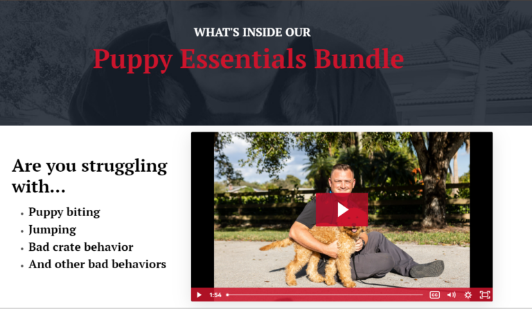 DIYK9 Course Review - [2024 Updated] Legit Or Just A Scam?