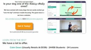 SpiritDog Training Review: Pros, Cons & Courses