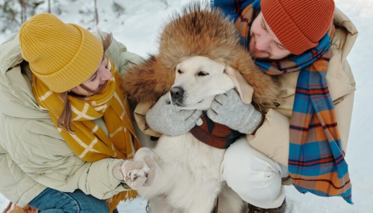 17 Most Affectionate Dog Breeds Known For Their Cuddles