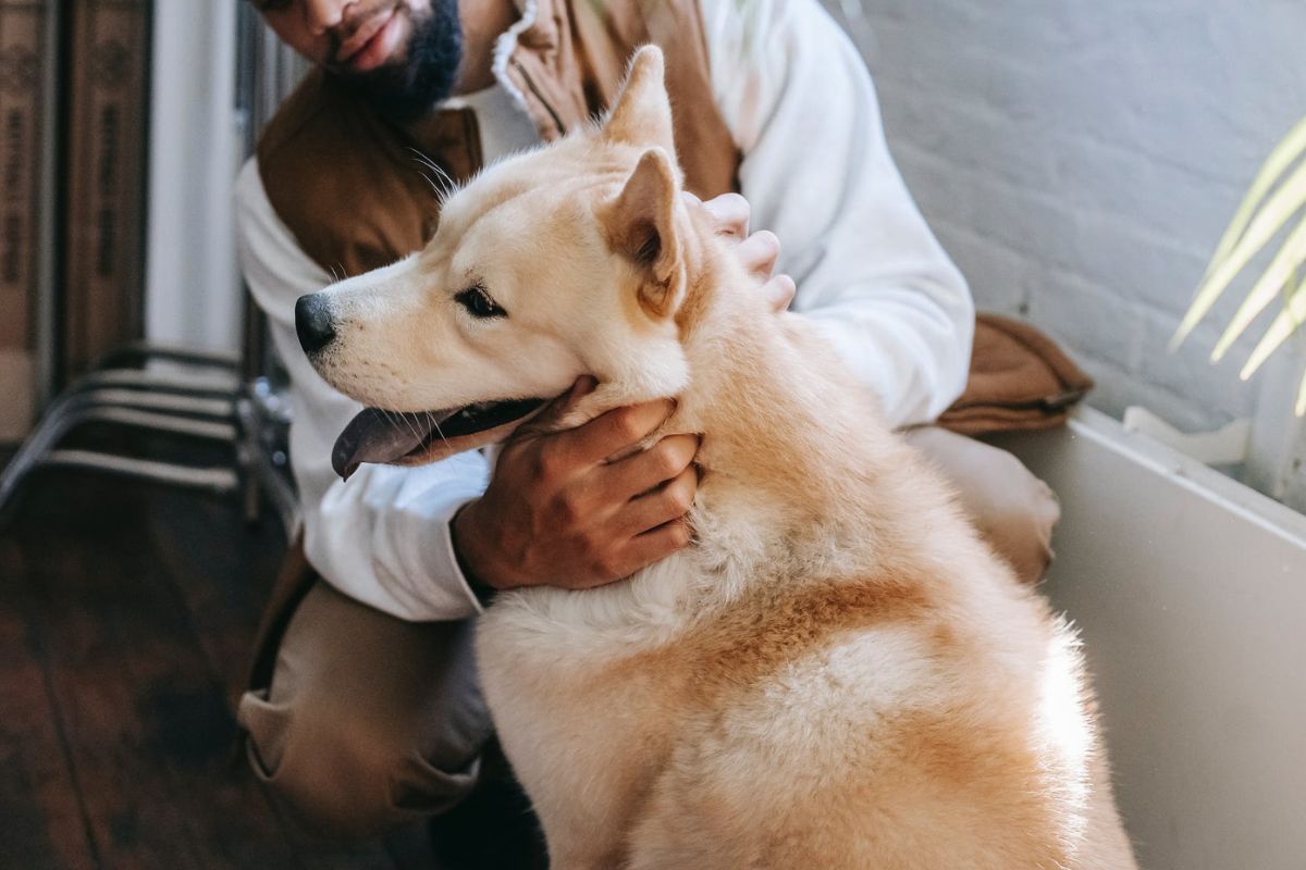 Pet Ownership Statistics & Trends In 2024