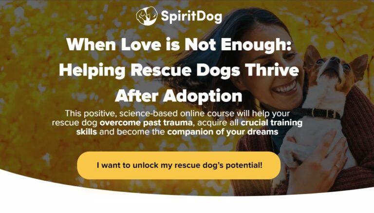SpiritDog Training Review: Pros, Cons & Courses
