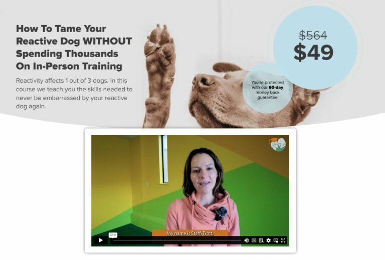 SpiritDog Training Review: Pros, Cons & Courses