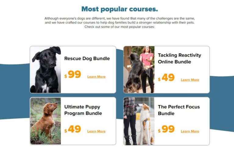 SpiritDog Training Review: Pros, Cons & Courses