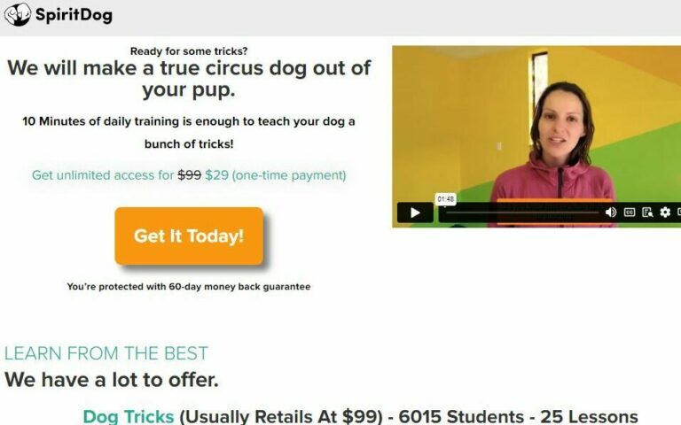 SpiritDog Training Review: Pros, Cons & Courses