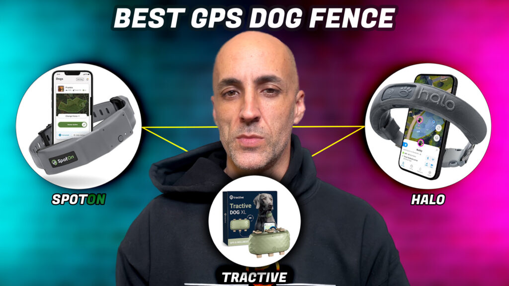 Best GPS Dog Fence Of 2024 [Hands-On Tested]
