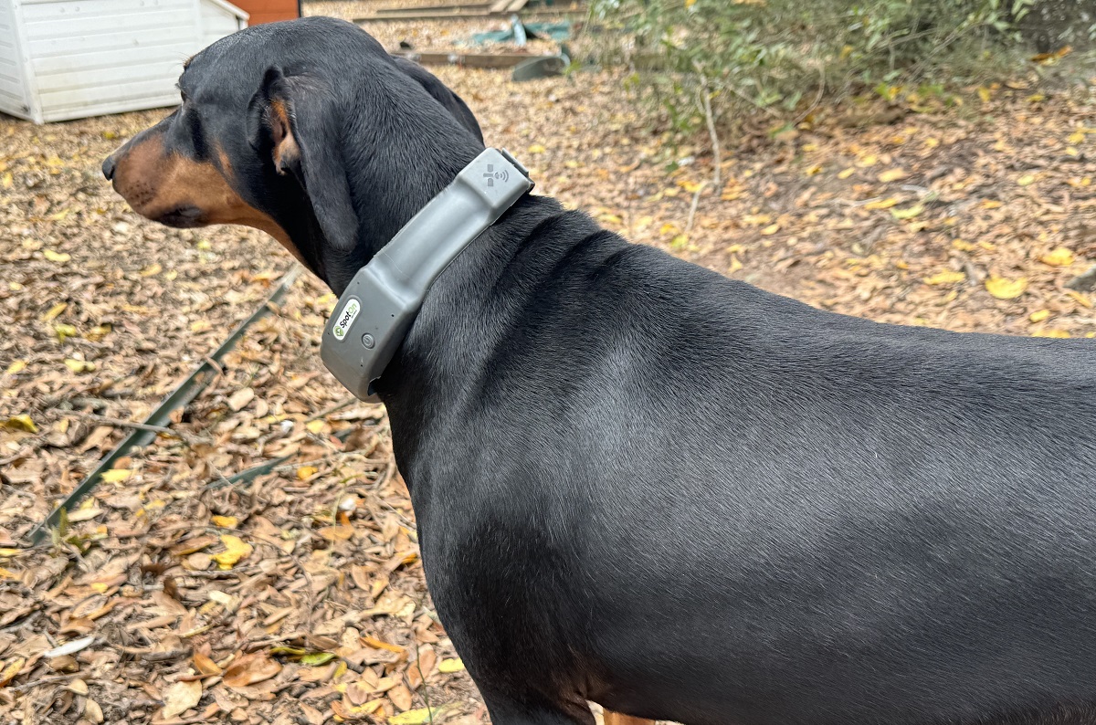 Best GPS Dog Fence [Hands-On Tested In March 2025]