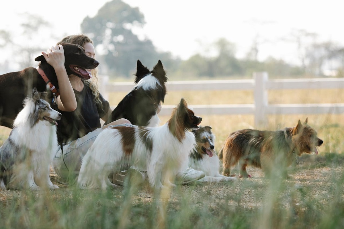 UK Pet Ownership Statistics In 2025
