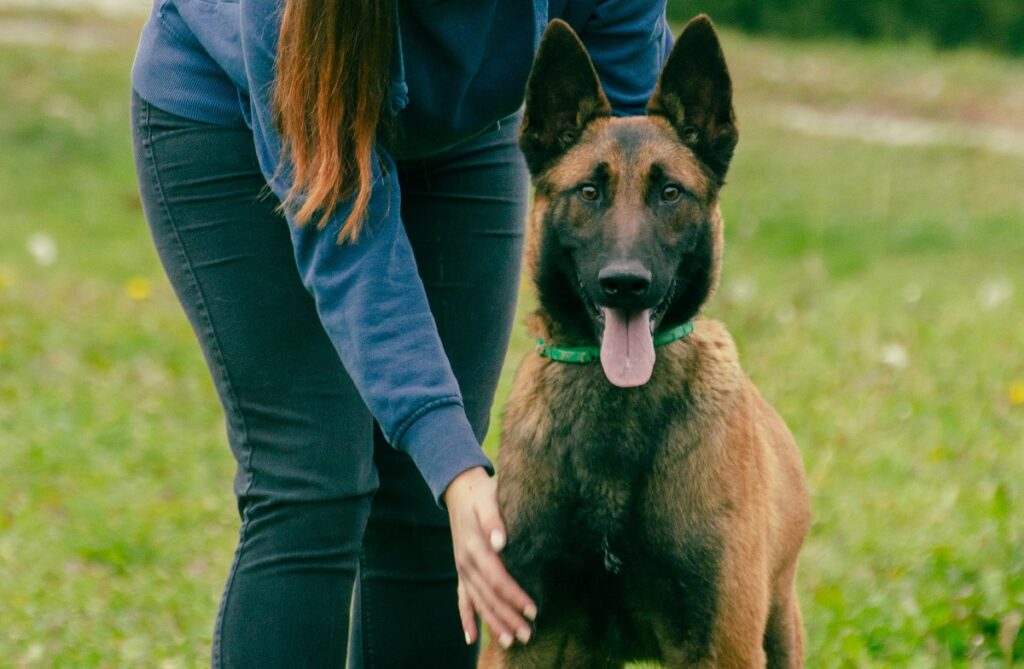 5 Best Protection Dog Breeds For Women - Ethawi.com