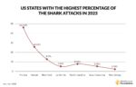 Shark Attack Statistics & Trends In 2024