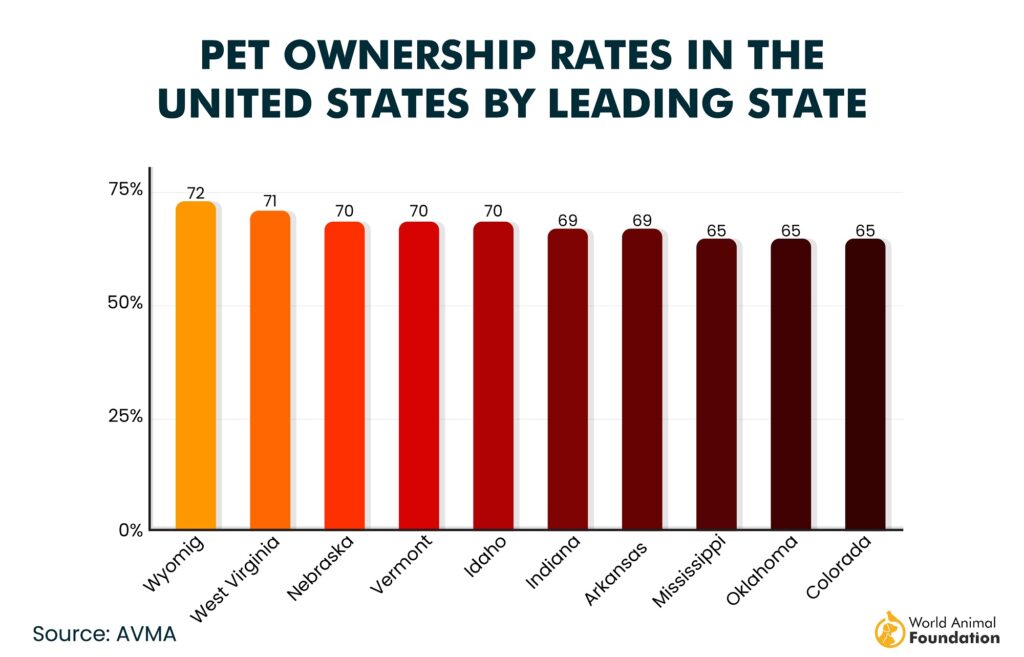 Pet Ownership Statistics & Trends In 2024