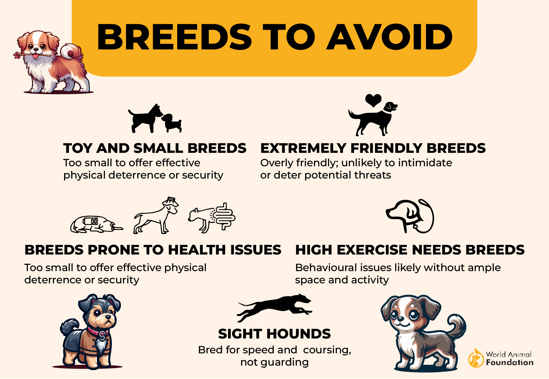 9 Best Guard Dog Breeds For Personal Security Against Urban Threats ...