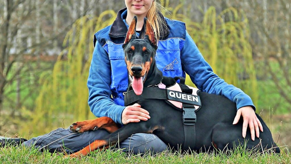 7 Low Maintenance Guard Dogs For Women With Super-Hectic Lifestyle ...