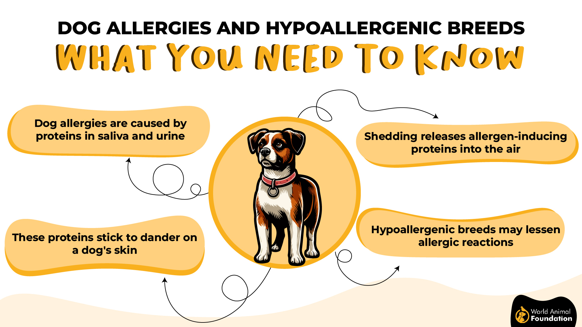 7 Hypoallergenic Livestock Guardian Dog Breeds That Don't Shed Much ...