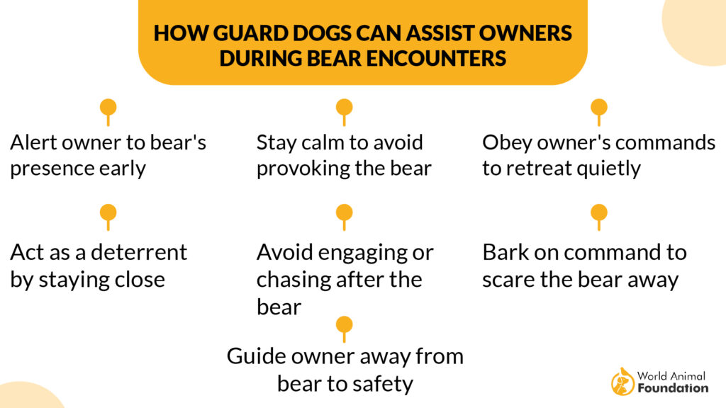 10 Best Dog Breeds To Protect Against Bears - Inhenocha.com