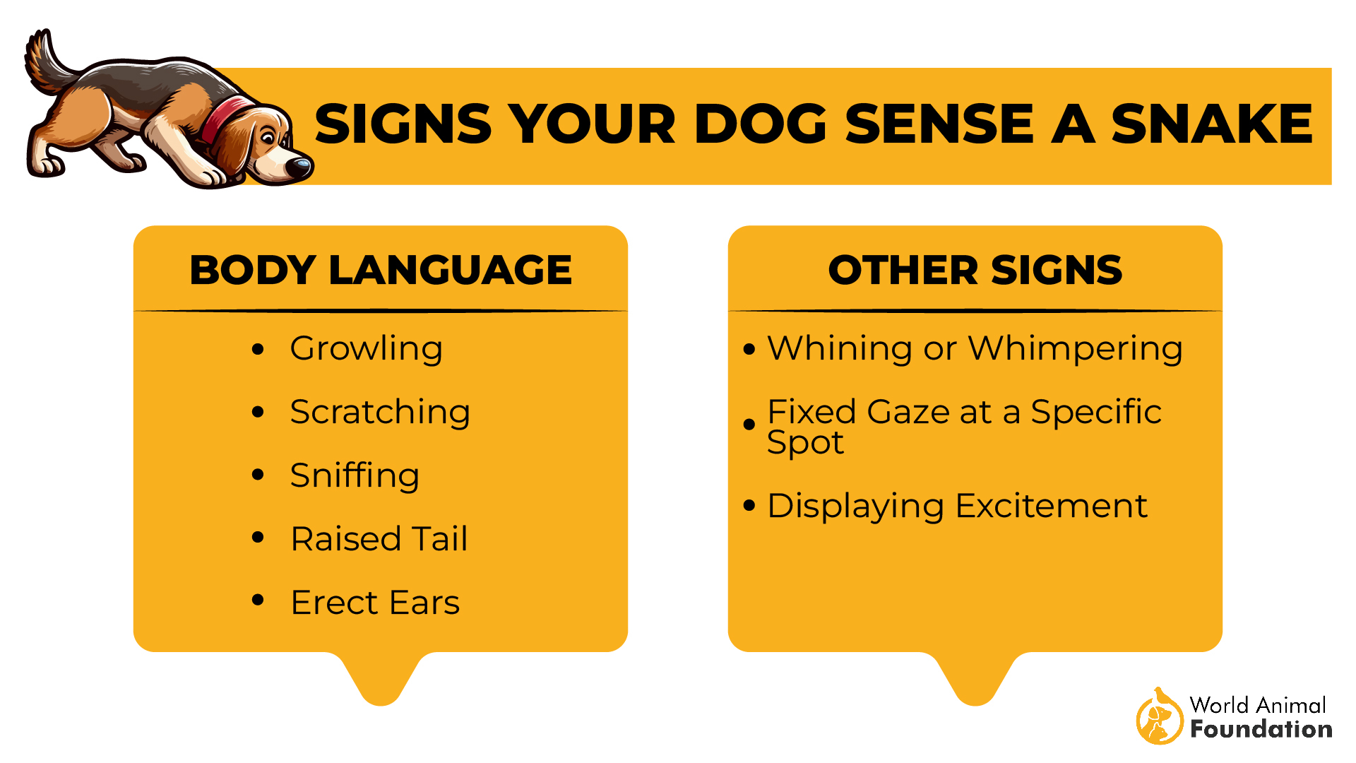 Top 7 Dog Breeds That Will Protect Your Family From Snakes - Inhenocha.com