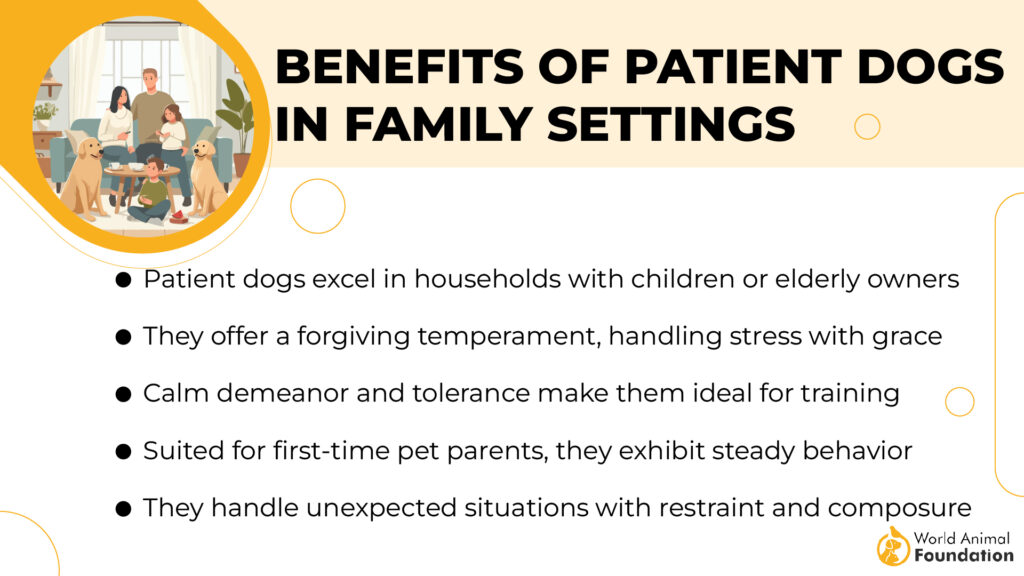 10 Most Patient Dog Breeds For Families With Kids - Inhenocha.com