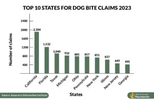 Dog Attacks By Breed - Bite Statistics & Fatalities In 2024
